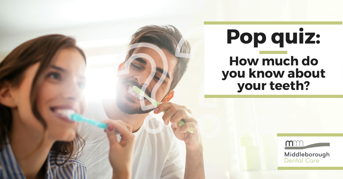 Pop quiz: How much do you know about your teeth? - Middleborough Dental ...